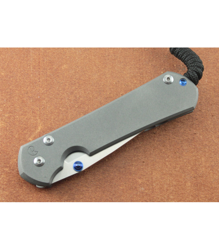 Large Sebenza 31 Drop Point
