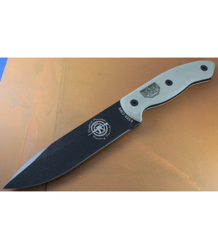 ESEE-CM6